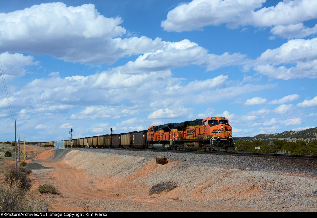 BNSF 6213 Coal Loads